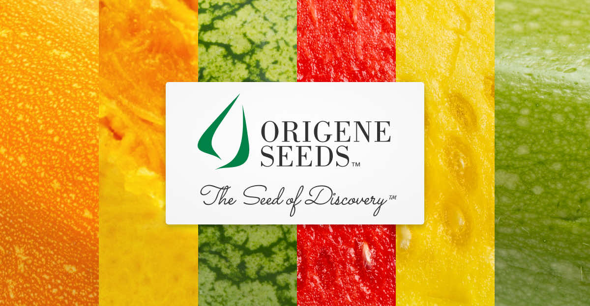 OriGene Seeds: Pioneering Climate-Resilient Varieties for a Changing ...
