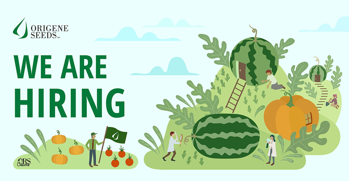 Peppers Collection :: Origene Seeds™